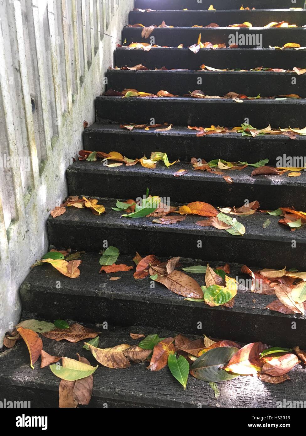 Outdoor Stairs with dead leaves on the steps Stock Photo - Alamy