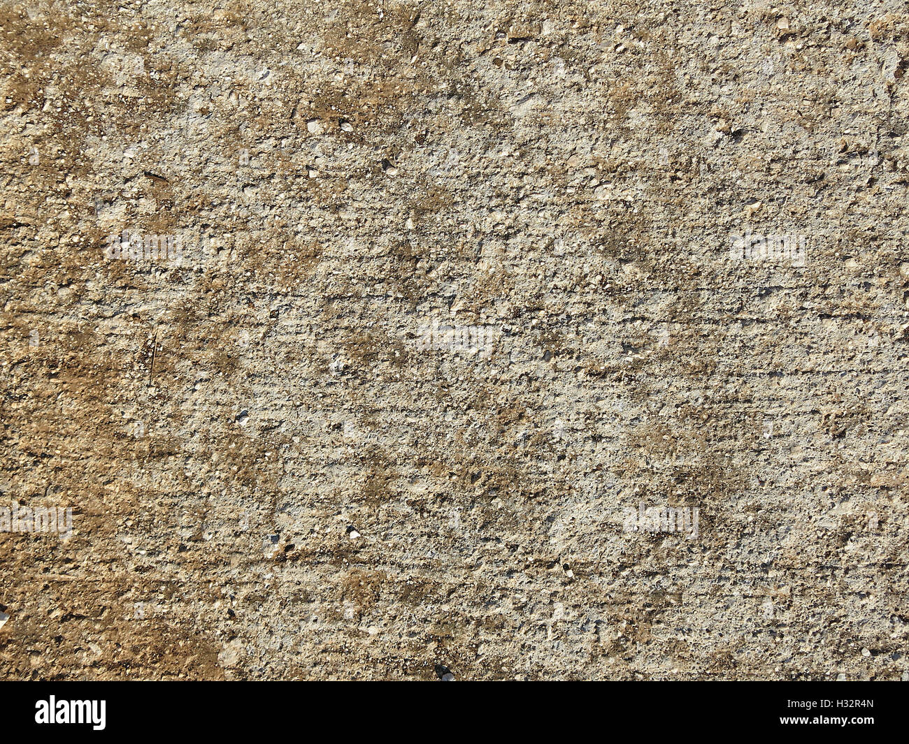 Path texture hi-res stock photography and images - Alamy