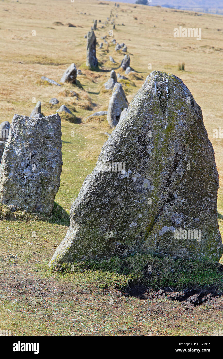 Merrivale ancient stone row, the southern row in winter, Dartmoor ...