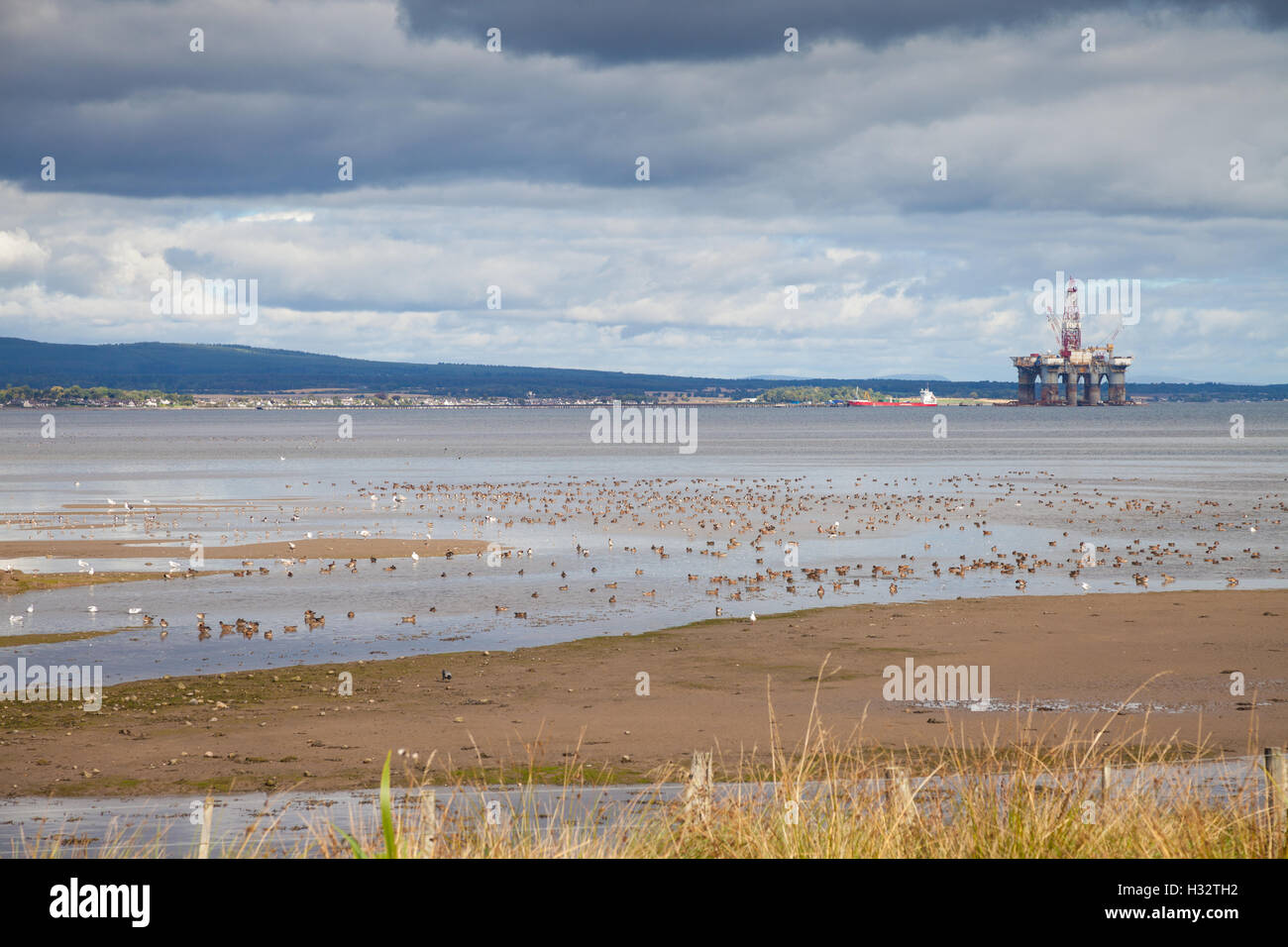 View from the RSPB nature reserve Udale Bay looking out onto the ...