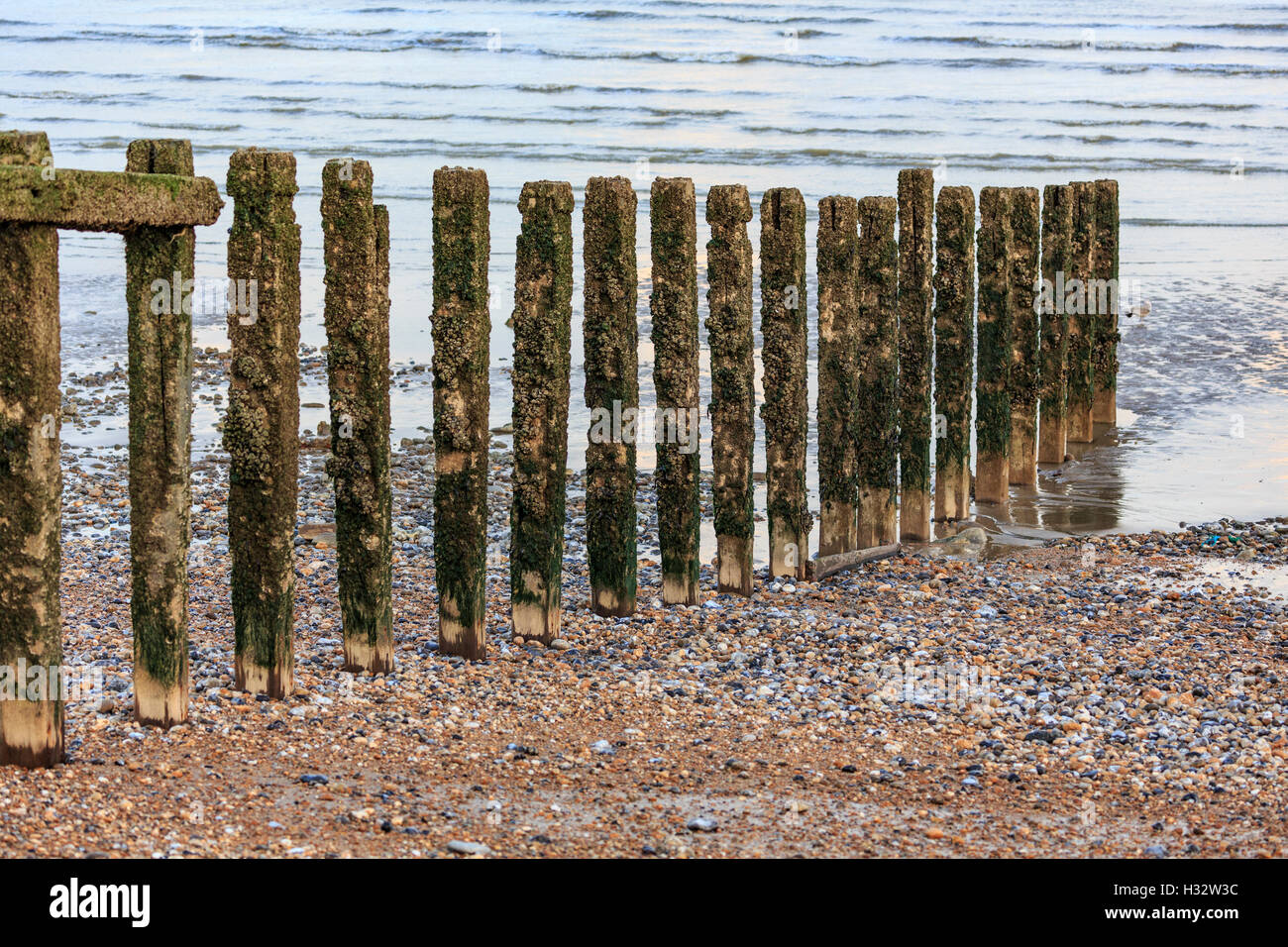 Eastbourne beach groynes hi-res stock photography and images - Alamy