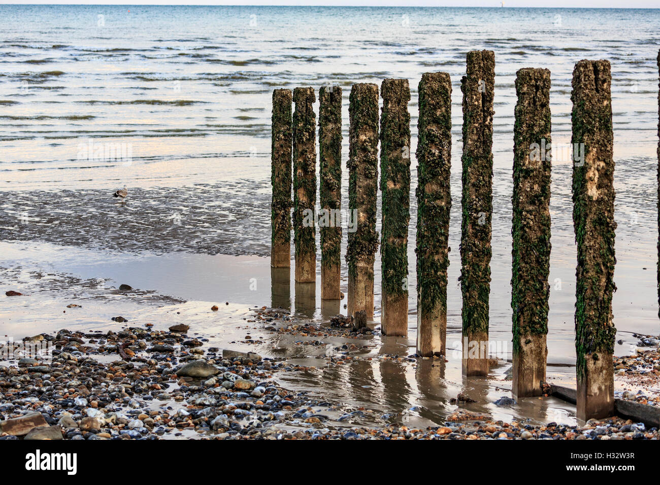 Old groynes hi-res stock photography and images - Alamy