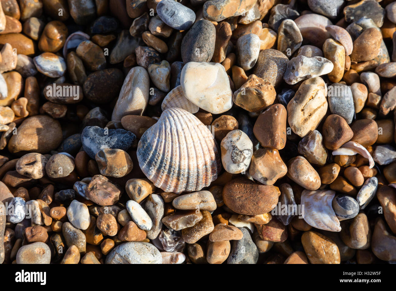 Pebbles on the beach bexhill hi-res stock photography and images - Alamy