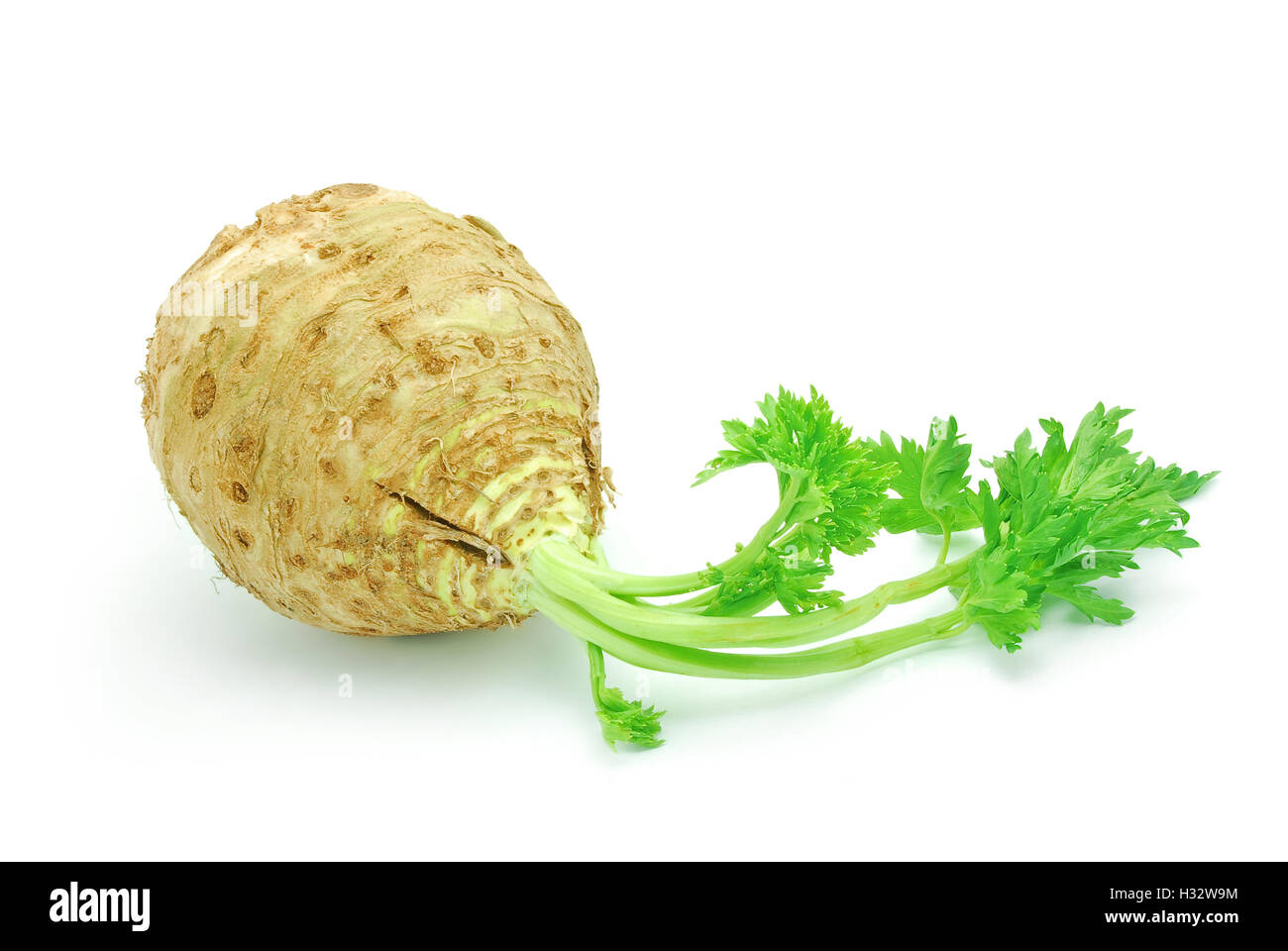 Celery leaf hi-res stock photography and images - Alamy