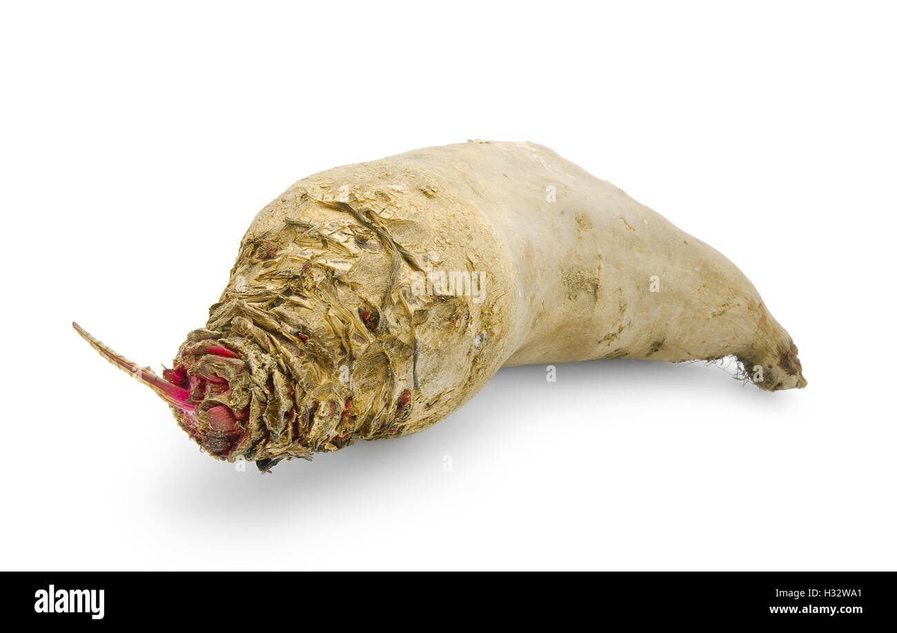 Red fresh beetroot isolated hi-res stock photography and images - Alamy