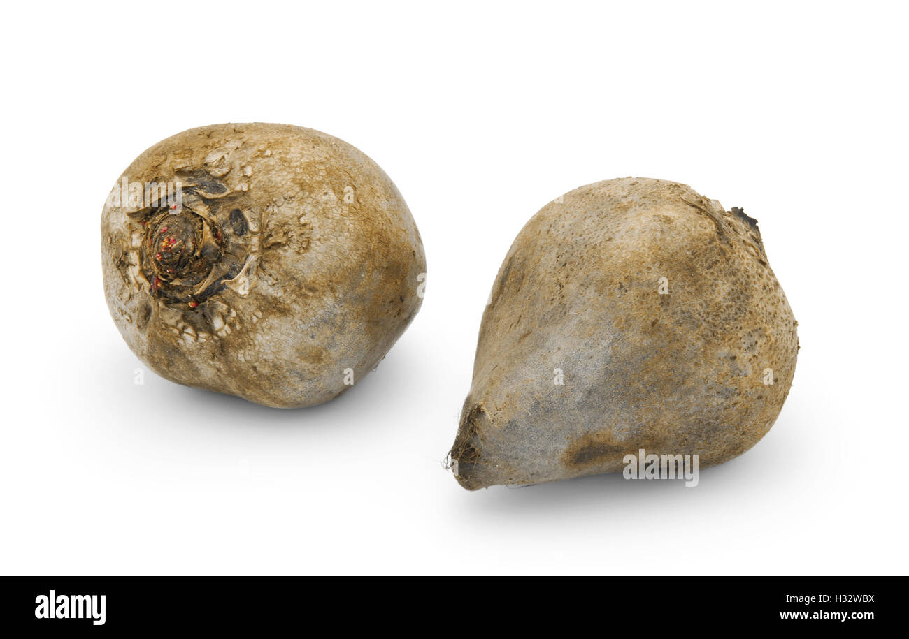 Two beetroot hi-res stock photography and images - Alamy
