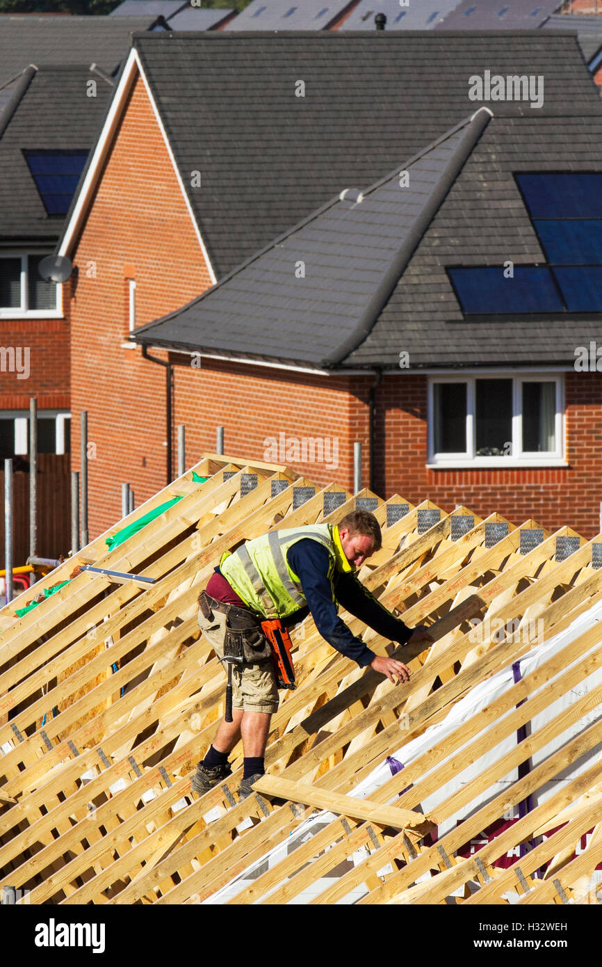 Roofers, workmen on piched roof; New Build houses, with roofs, roof ...