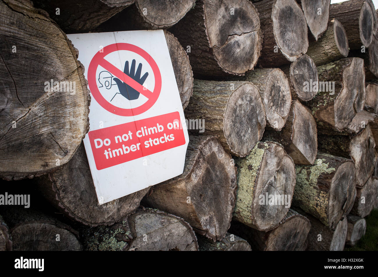warning sign, Do not climb on timber stacks Stock Photo - Alamy