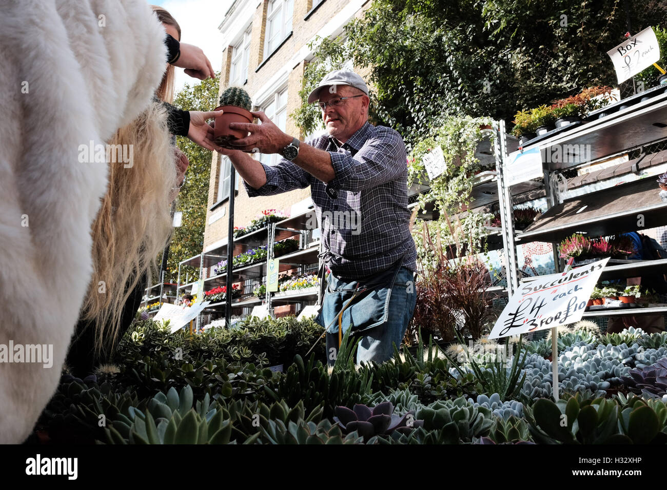 Man working on a market stall selling plants gives a cactus to a ...