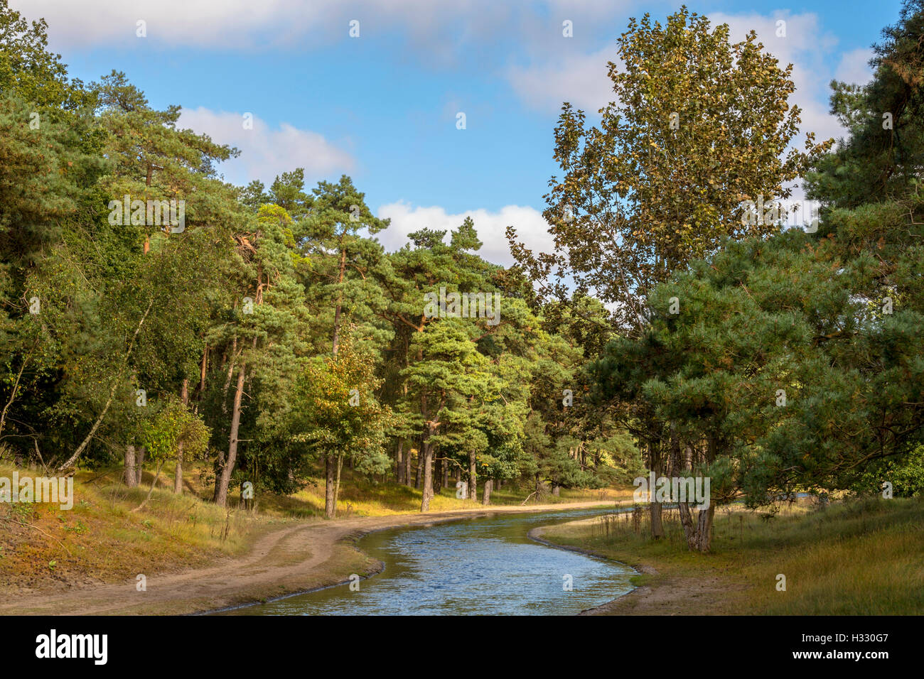 Landscape beauty and a meandering brook in the Amsterdamse ...