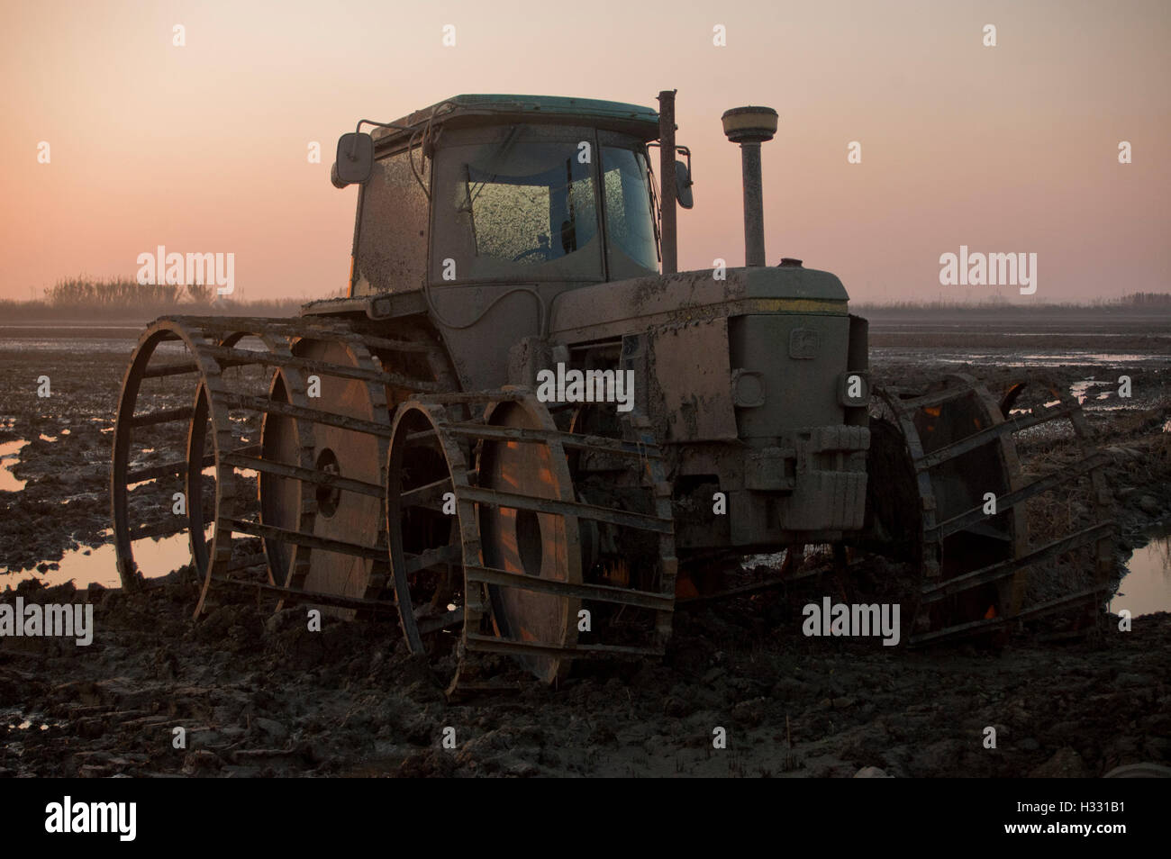 Old tractor with plow wheels in a flooded rice field at sunset. Mud in ...