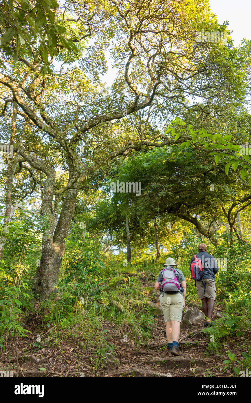 Footslog hi-res stock photography and images - Alamy