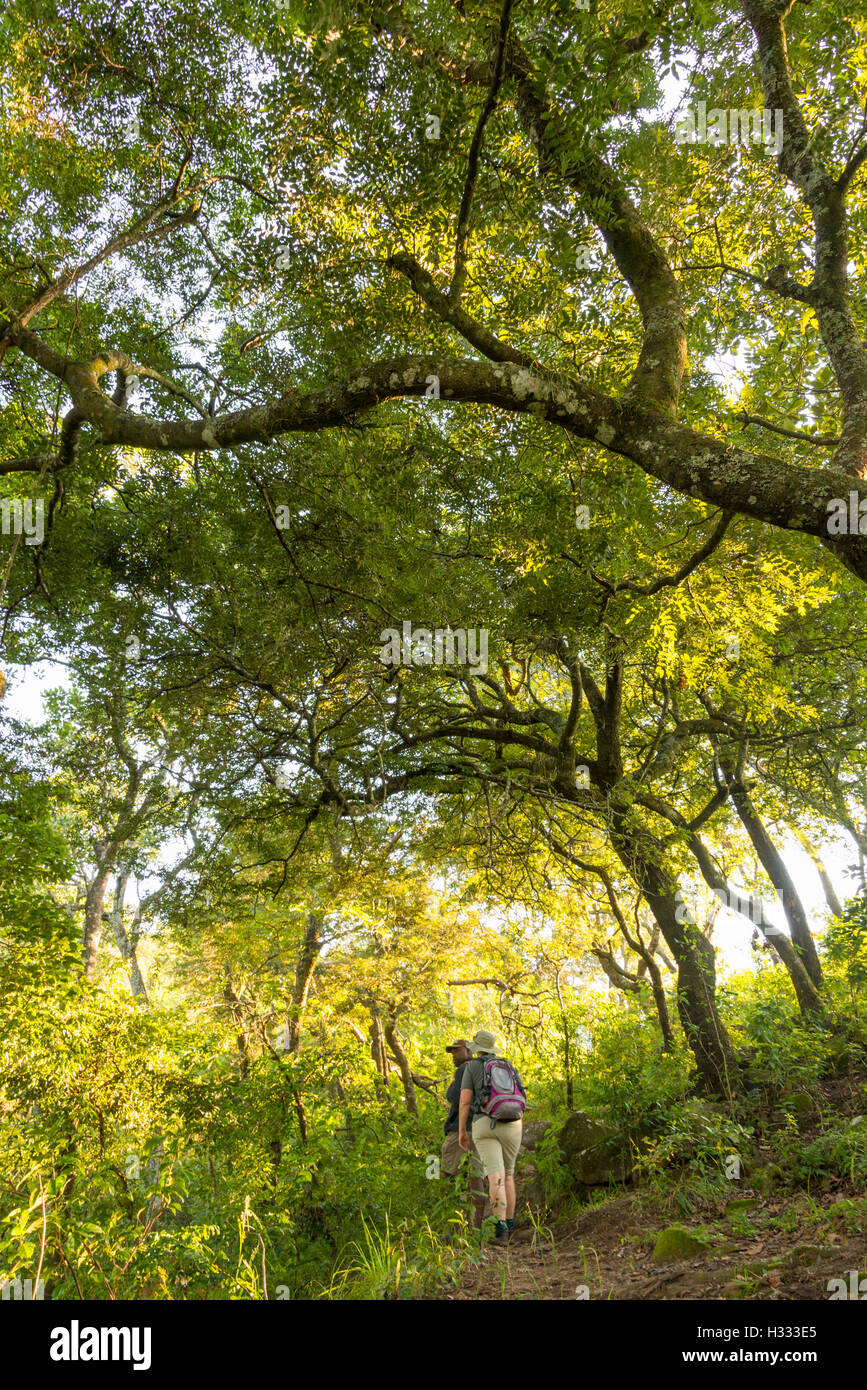 Footslog hi-res stock photography and images - Alamy