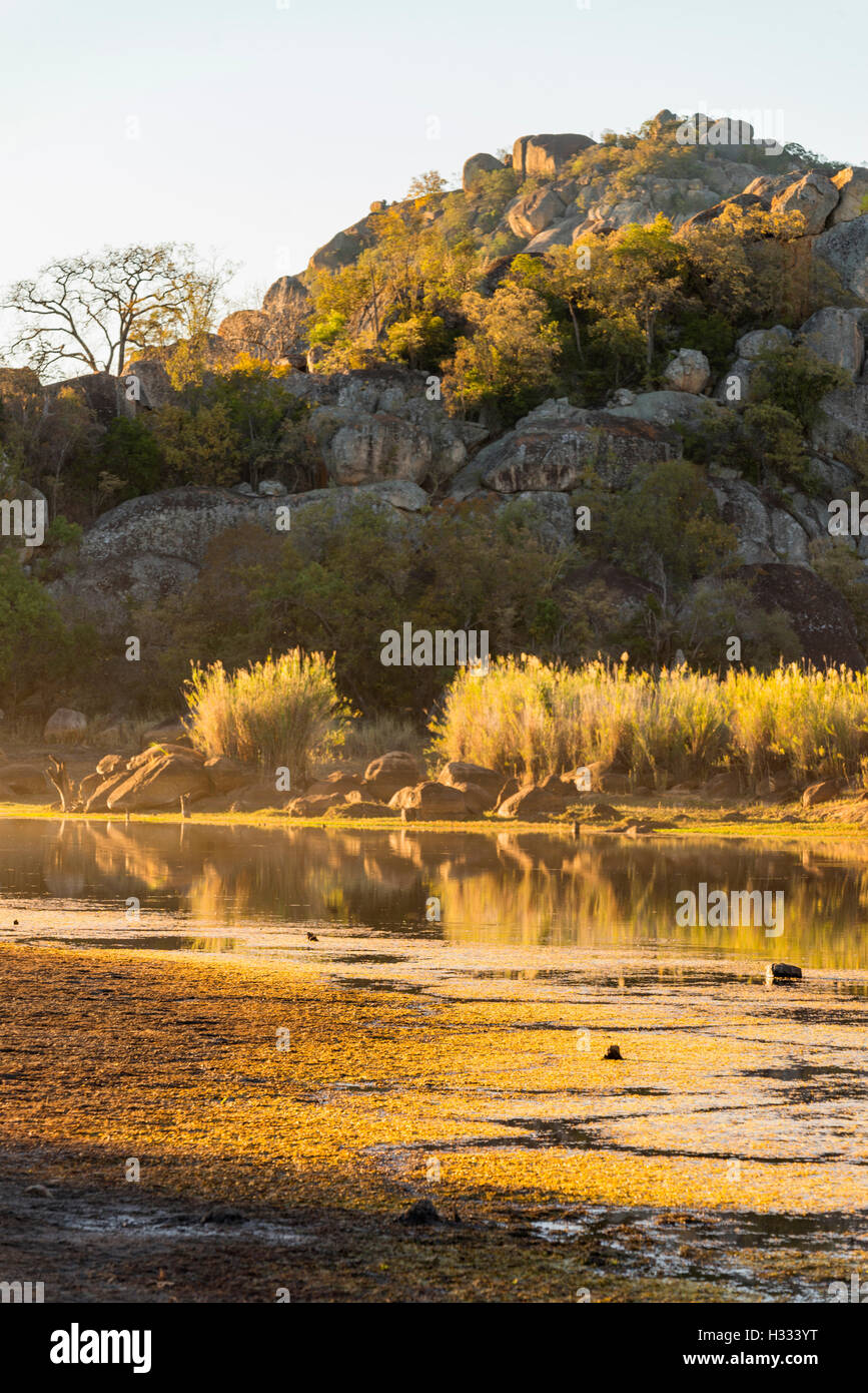 Dwalas hi-res stock photography and images - Alamy