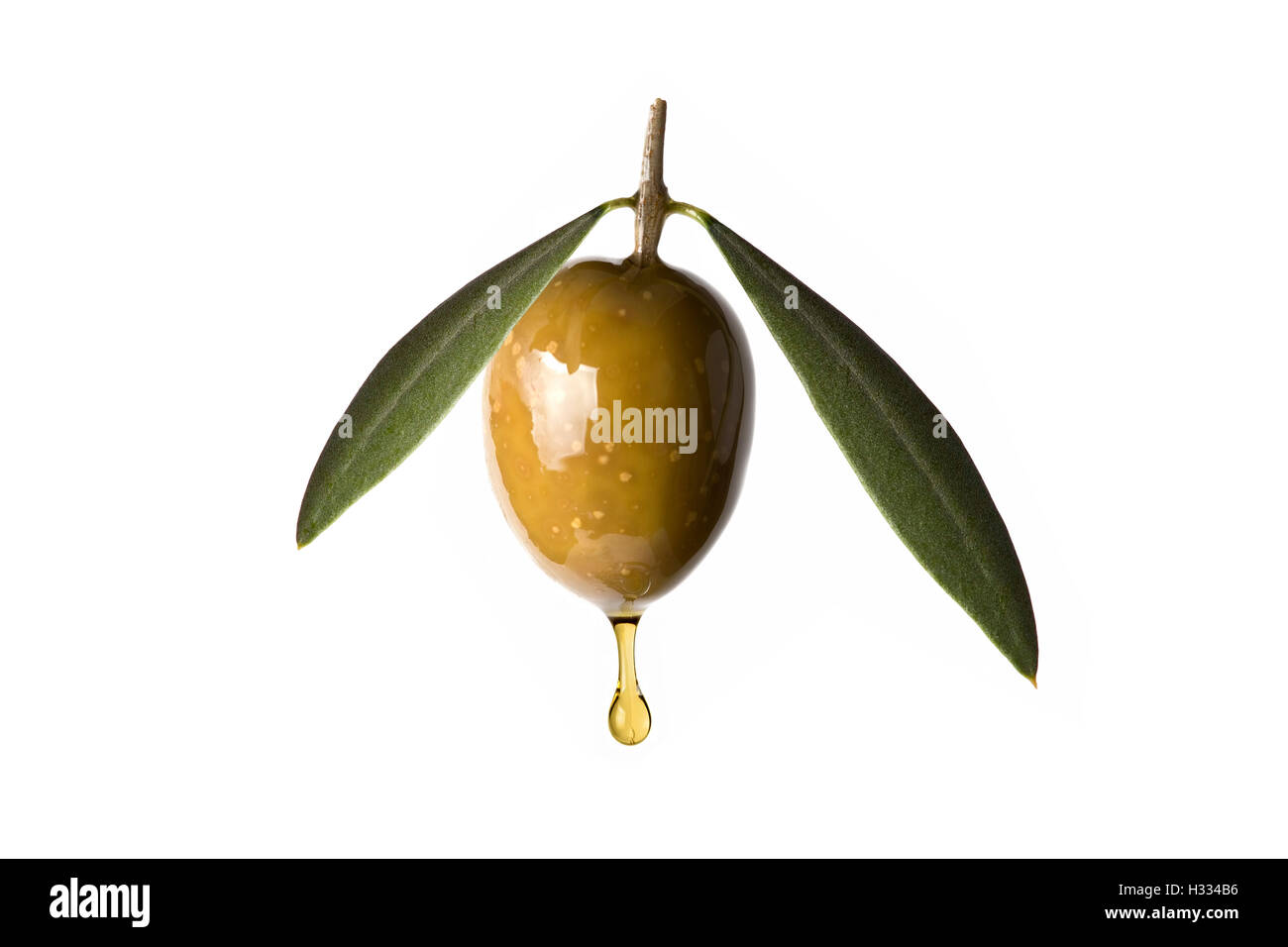 A drop of olive oil falling from one green olive isolated on a white ...