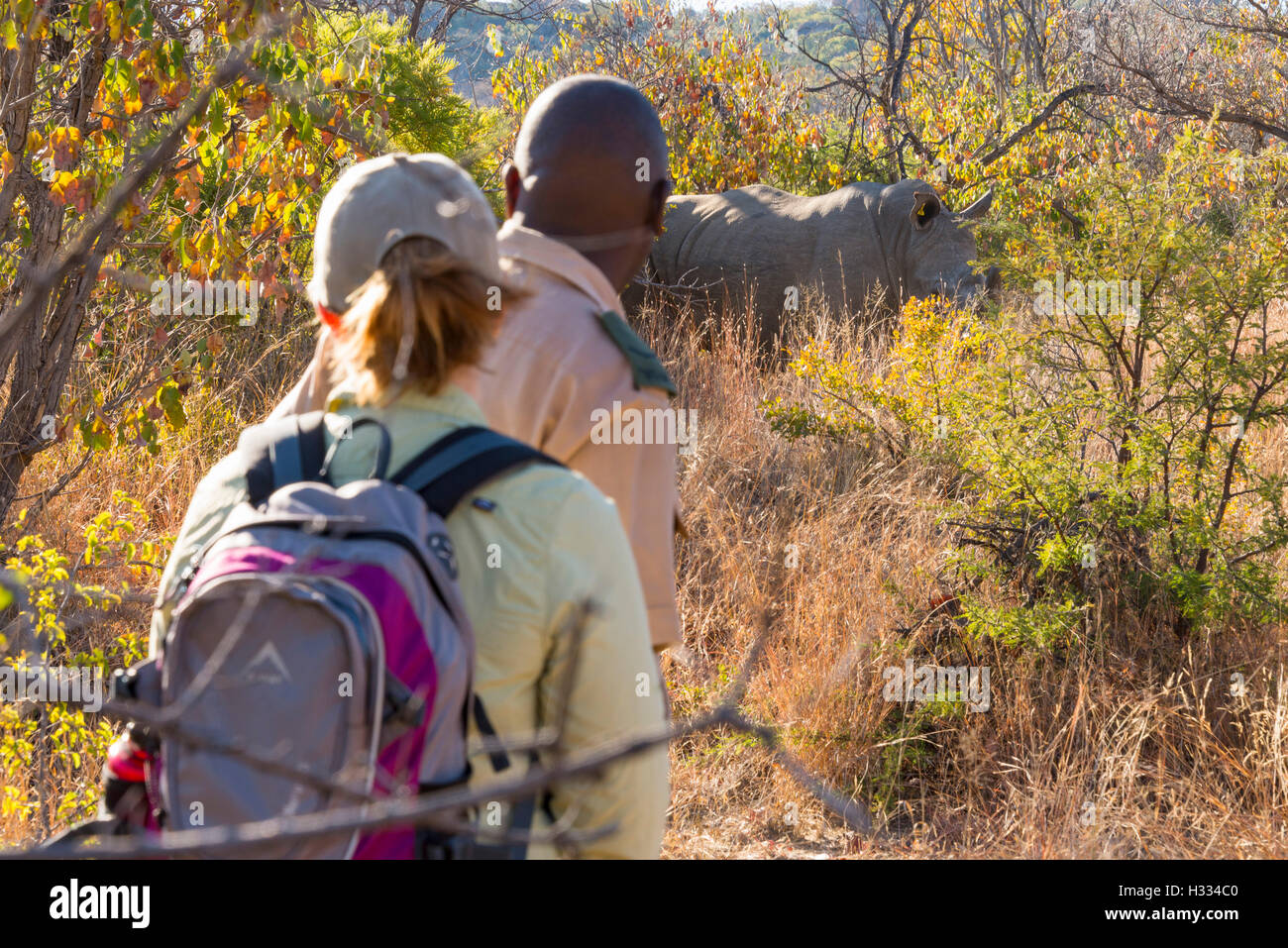 Rhino ranger poaching hi-res stock photography and images - Alamy