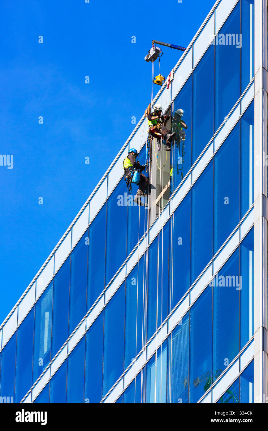 Two workmen repairing window on a tall building while suspended by ...