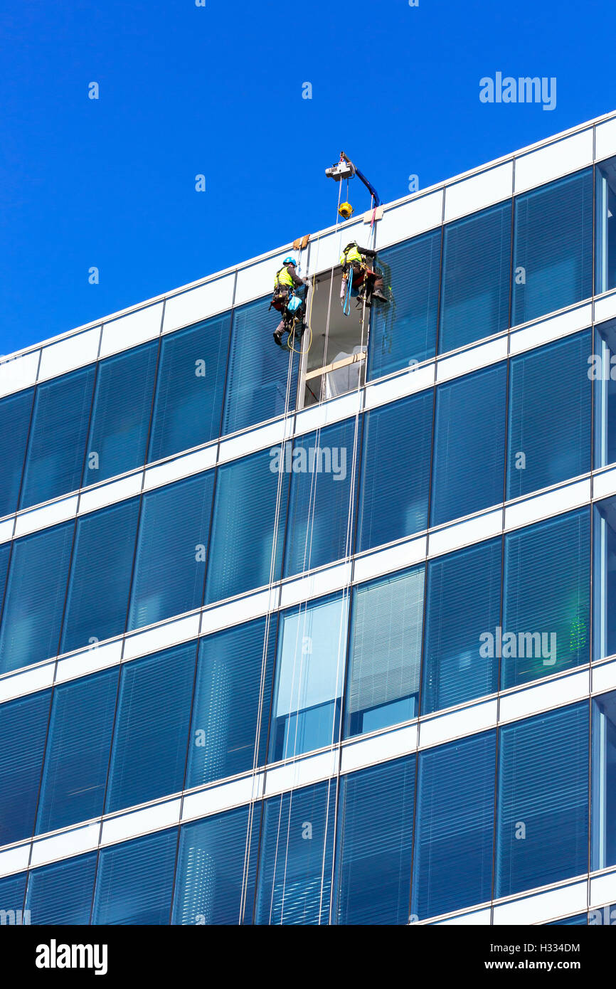 Two workmen repairing window on a tall building while suspended by ...