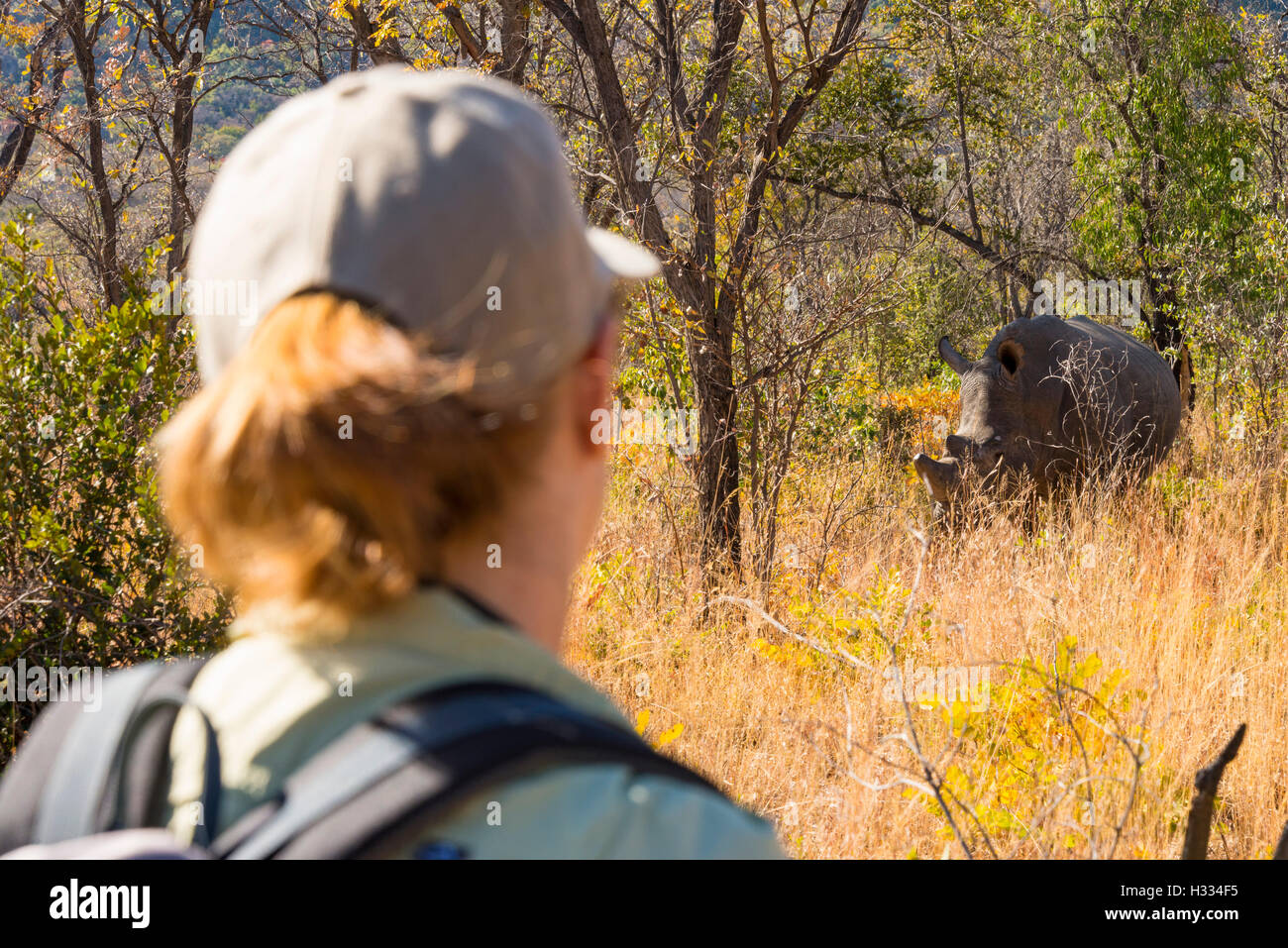 Rhino ranger poaching hi-res stock photography and images - Alamy