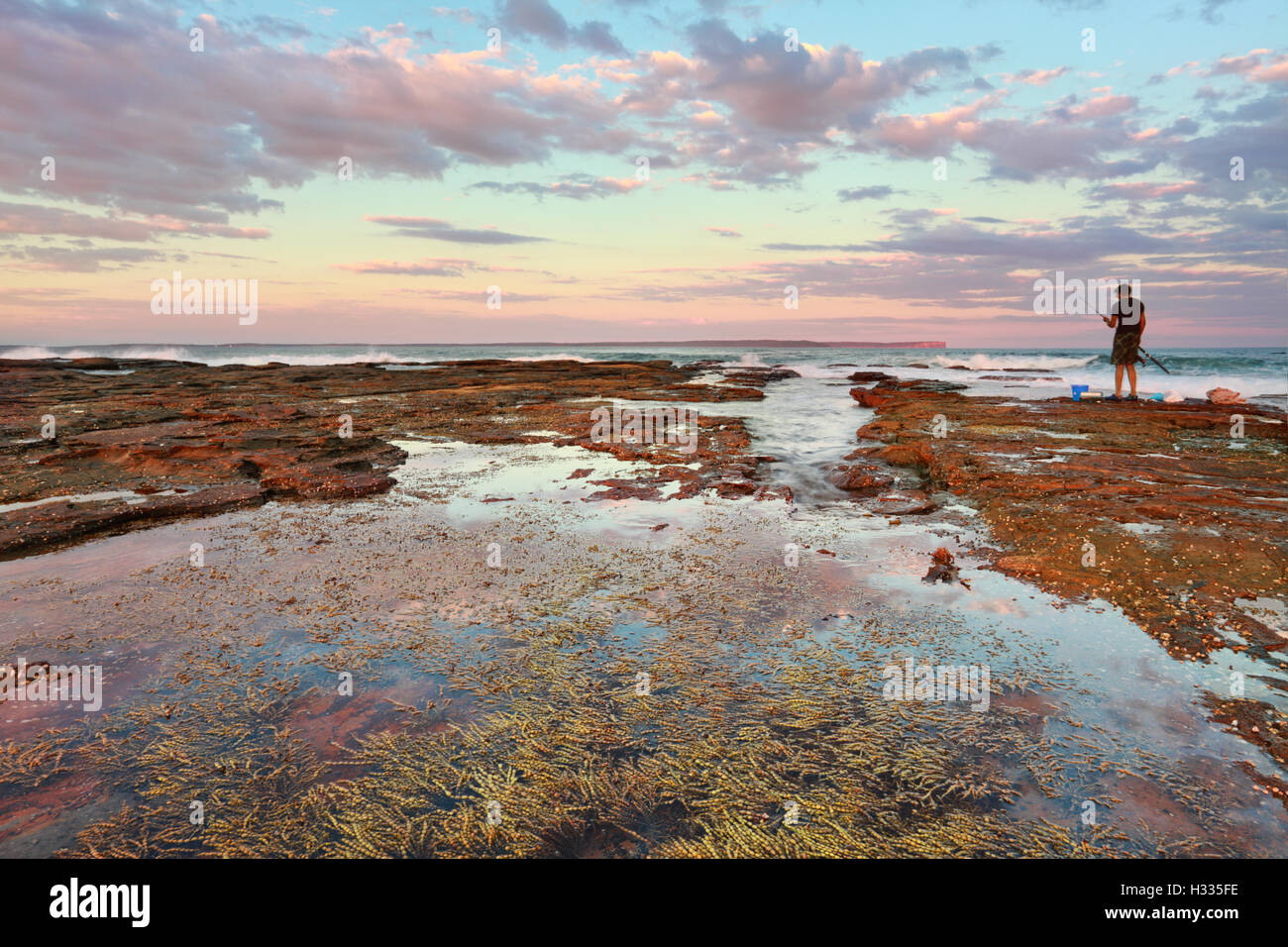 Vincentia hi-res stock photography and images - Alamy