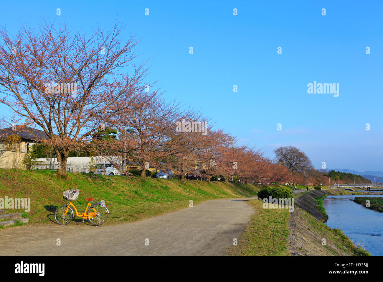 Kamo River in Kyoto Stock Photo - Alamy