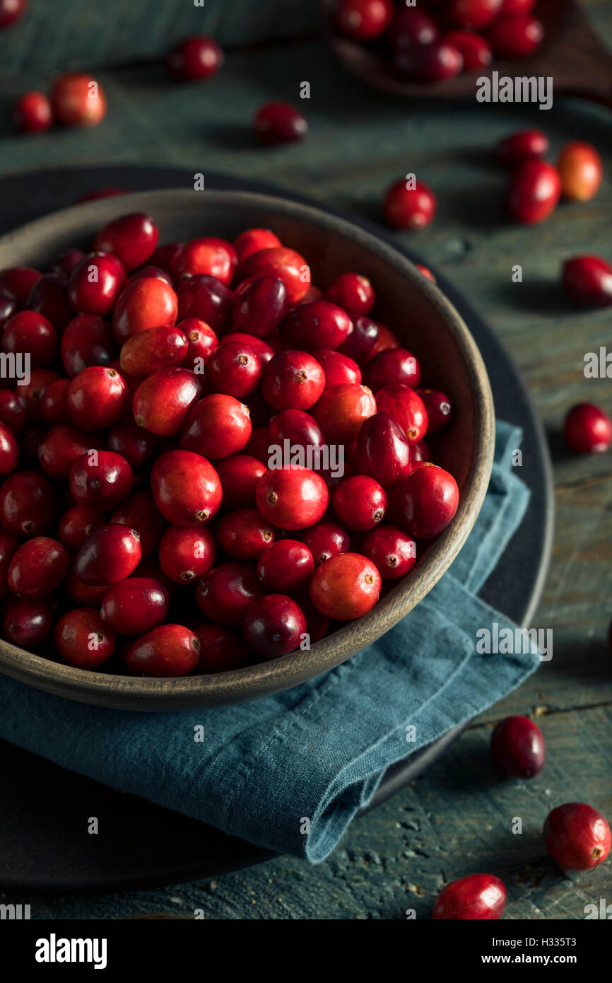 Cranberries hi-res stock photography and images - Alamy