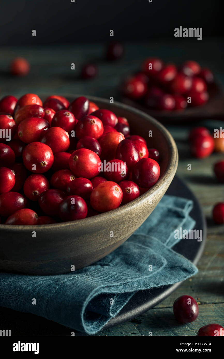 Wild berry cranberries hi-res stock photography and images - Alamy