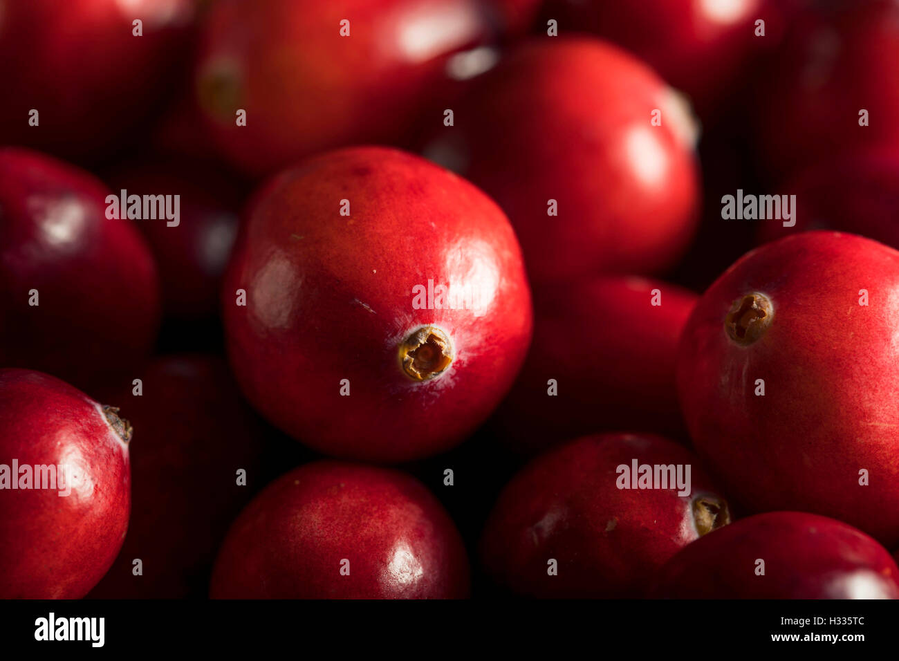 Raw Organic Red Cranberries in a Bowl Stock Photo - Alamy