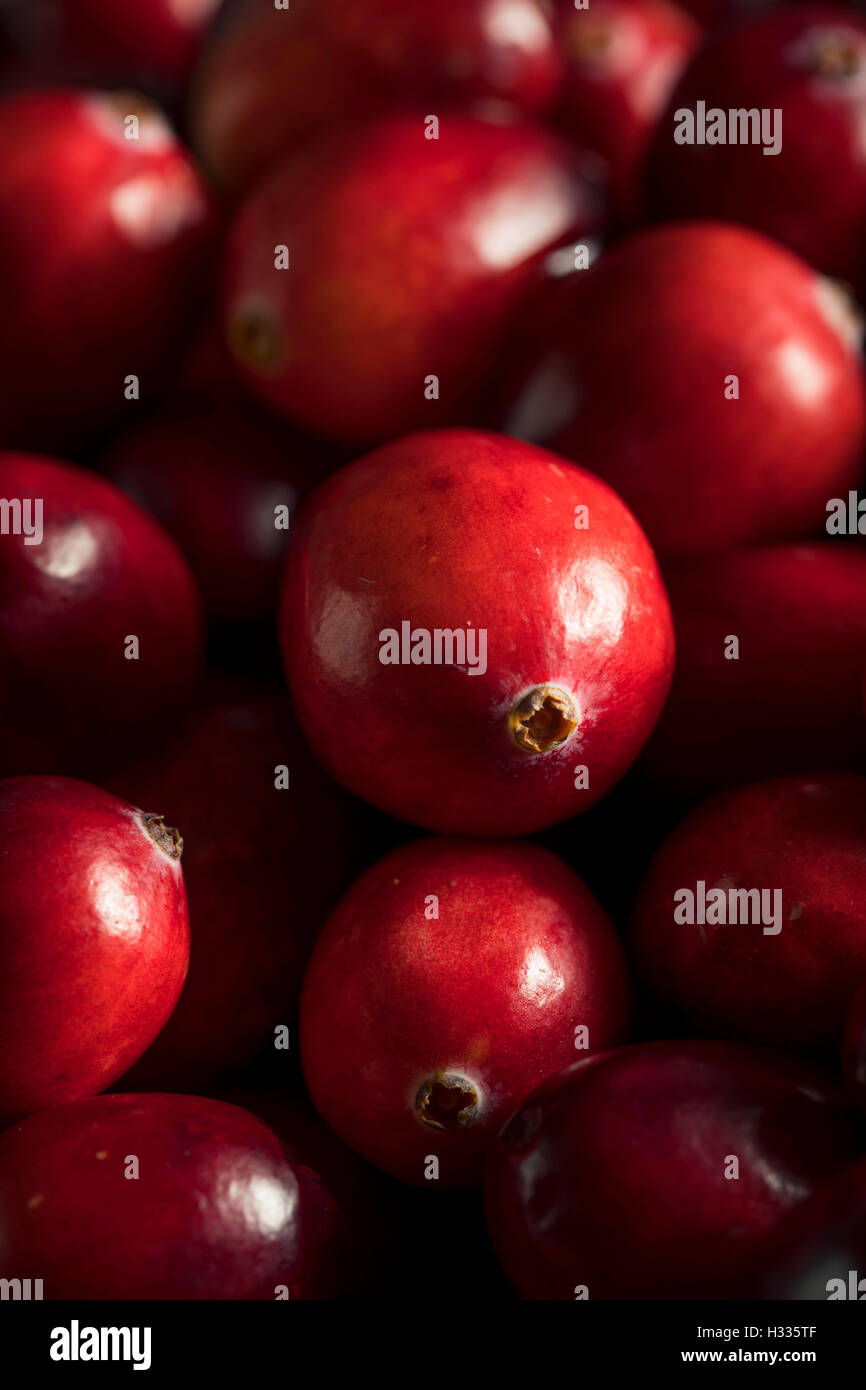 Closeup of cranberries hi-res stock photography and images - Alamy