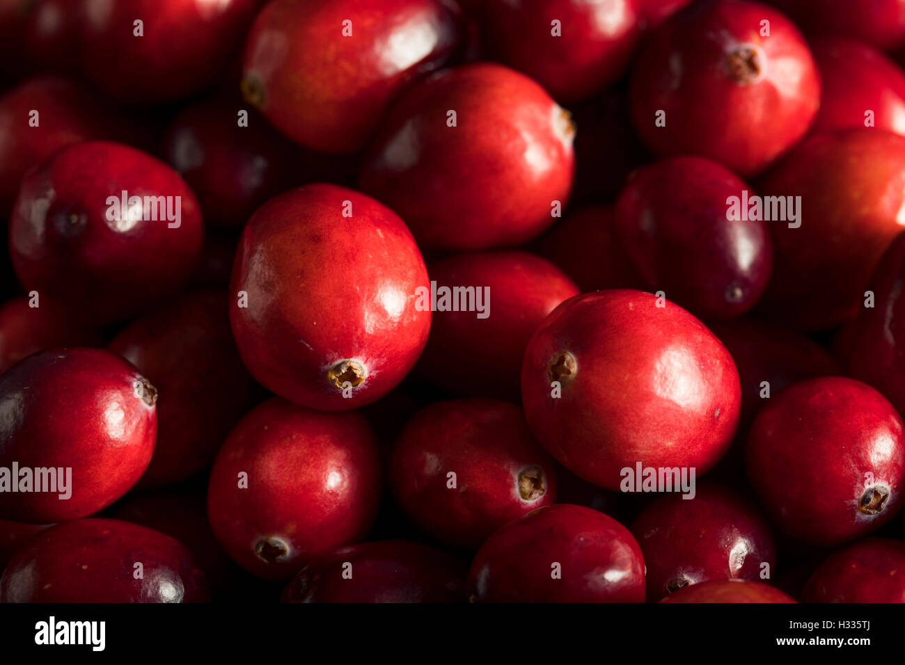 Raw Organic Red Cranberries in a Bowl Stock Photo - Alamy