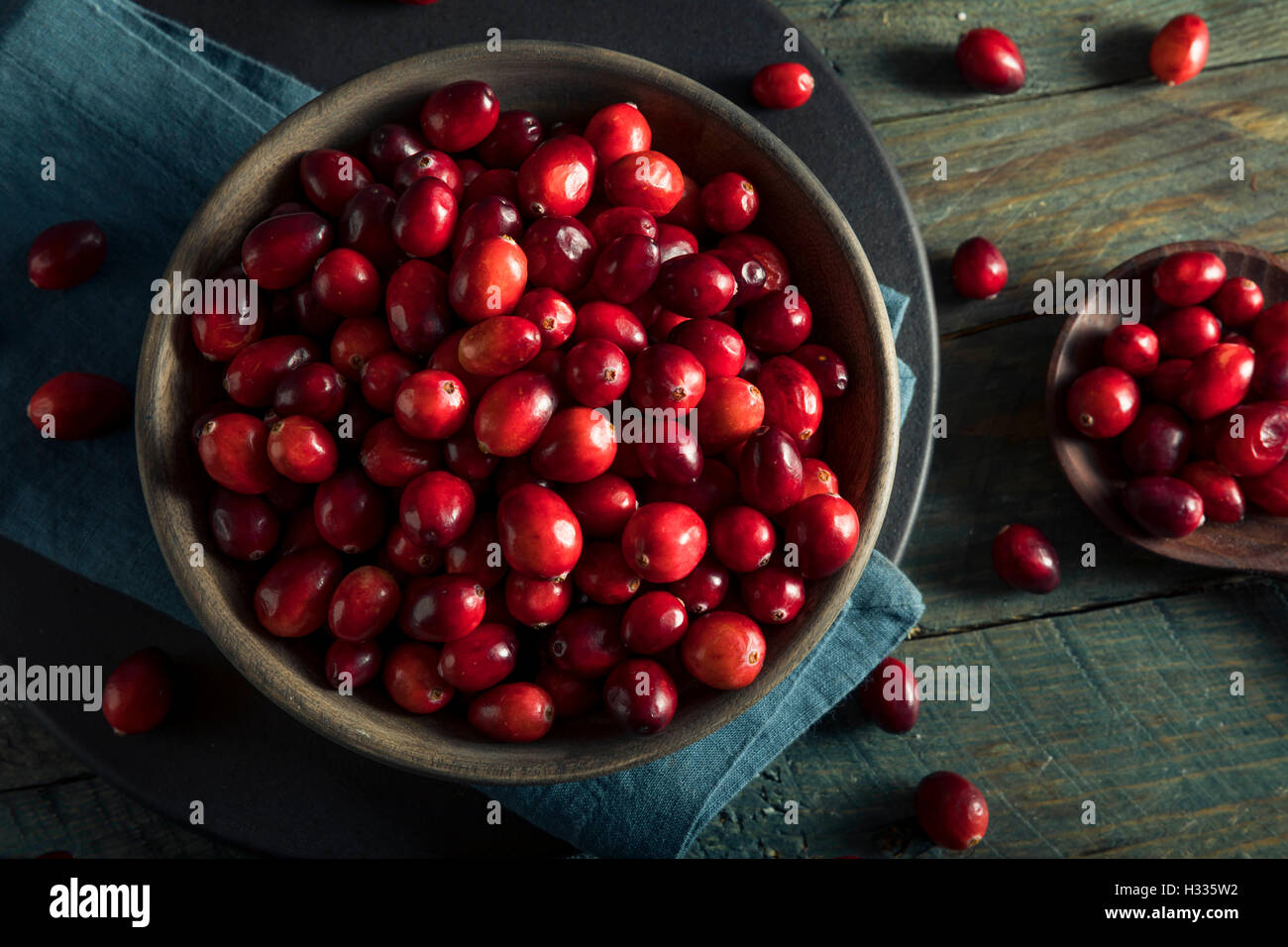 Raw Organic Red Cranberries in a Bowl Stock Photo - Alamy