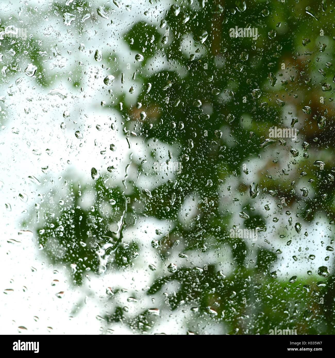 rain on glass Stock Photo - Alamy