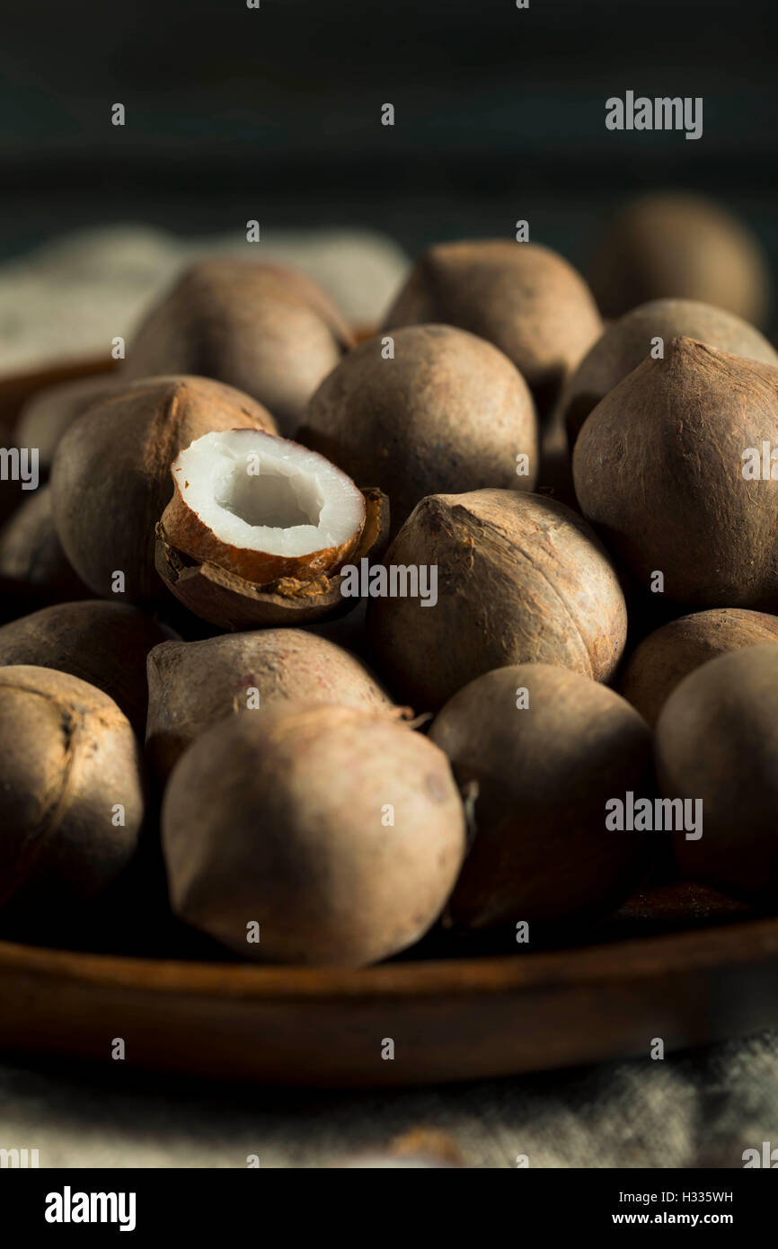 Raw Organic Coconut Coquito Nuts Cracked Open Stock Photo - Alamy