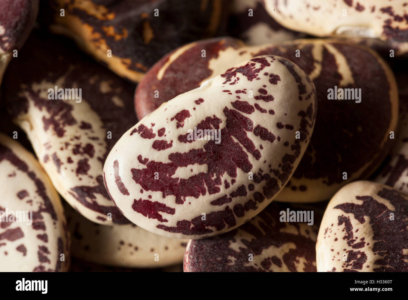 Raw Dry Organic Christmas Beans in a Bowl Stock Photo - Alamy