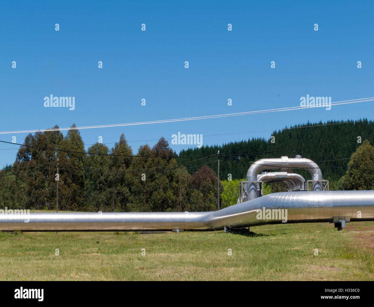 Geothermal power hot water pipeline Wairakei NZ Stock Photo - Alamy