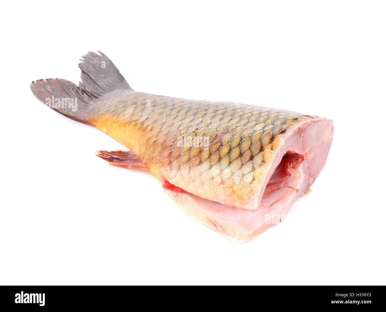 Closeup of carp fish tail Stock Photo - Alamy