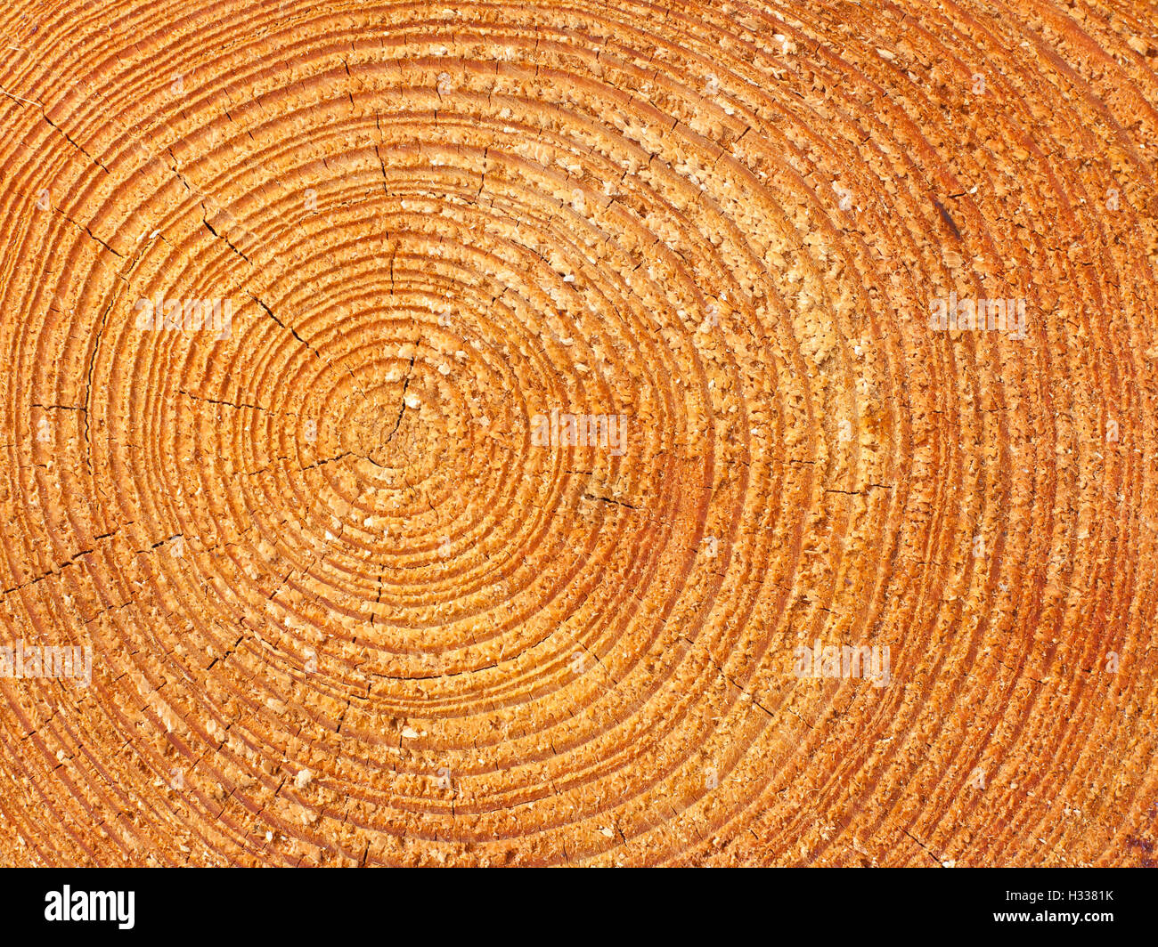 Close-up wooden texture Stock Photo - Alamy Close-up wooden texture Stock Photo - Alamy