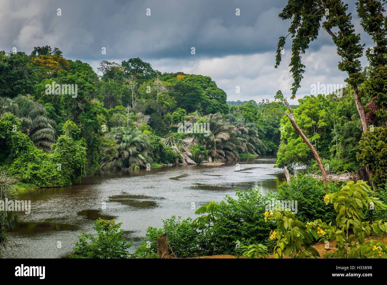Southern Cameroon High Resolution Stock Photography and Images - Alamy