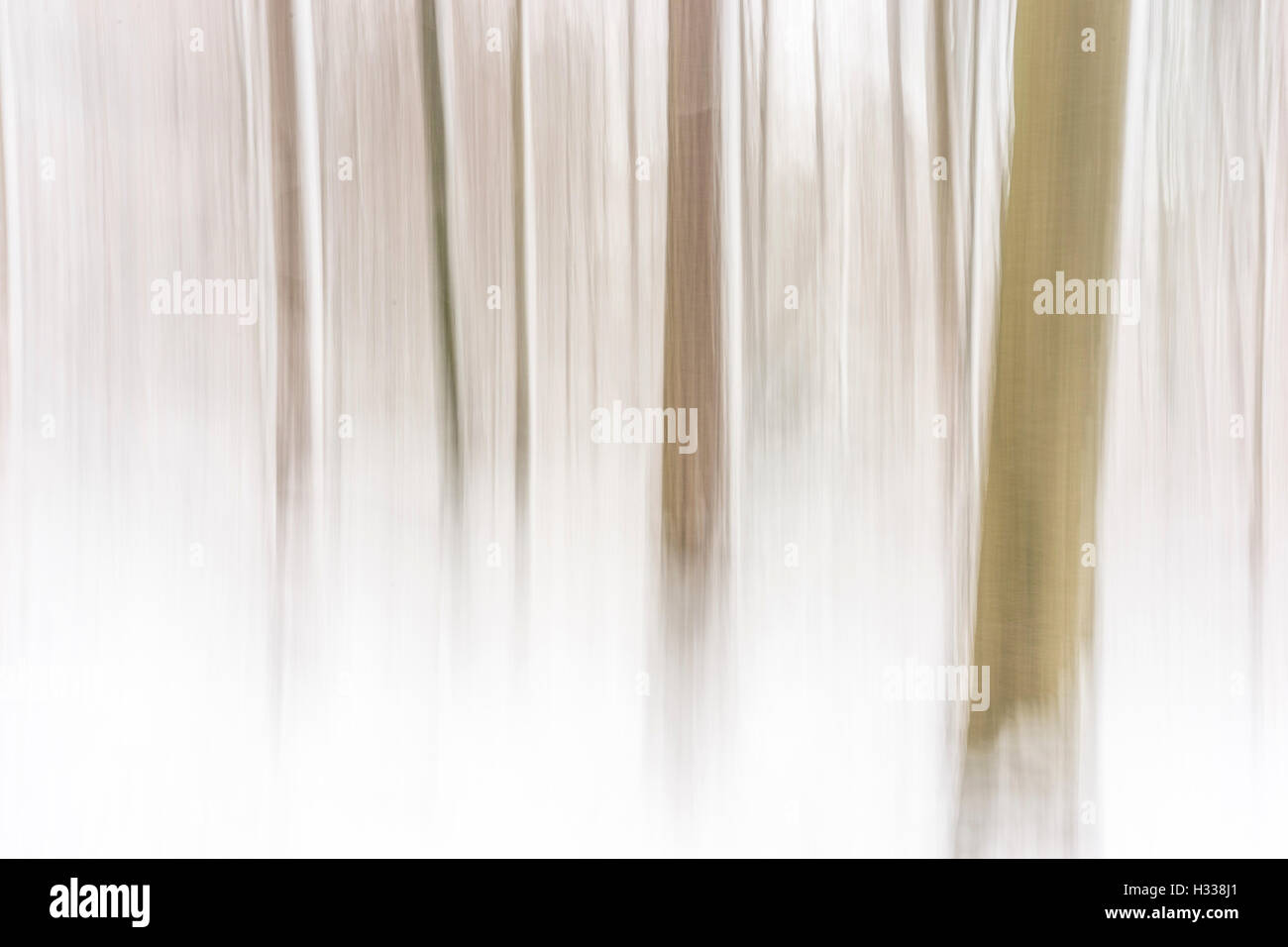 Abstract winter forest hi-res stock photography and images - Alamy