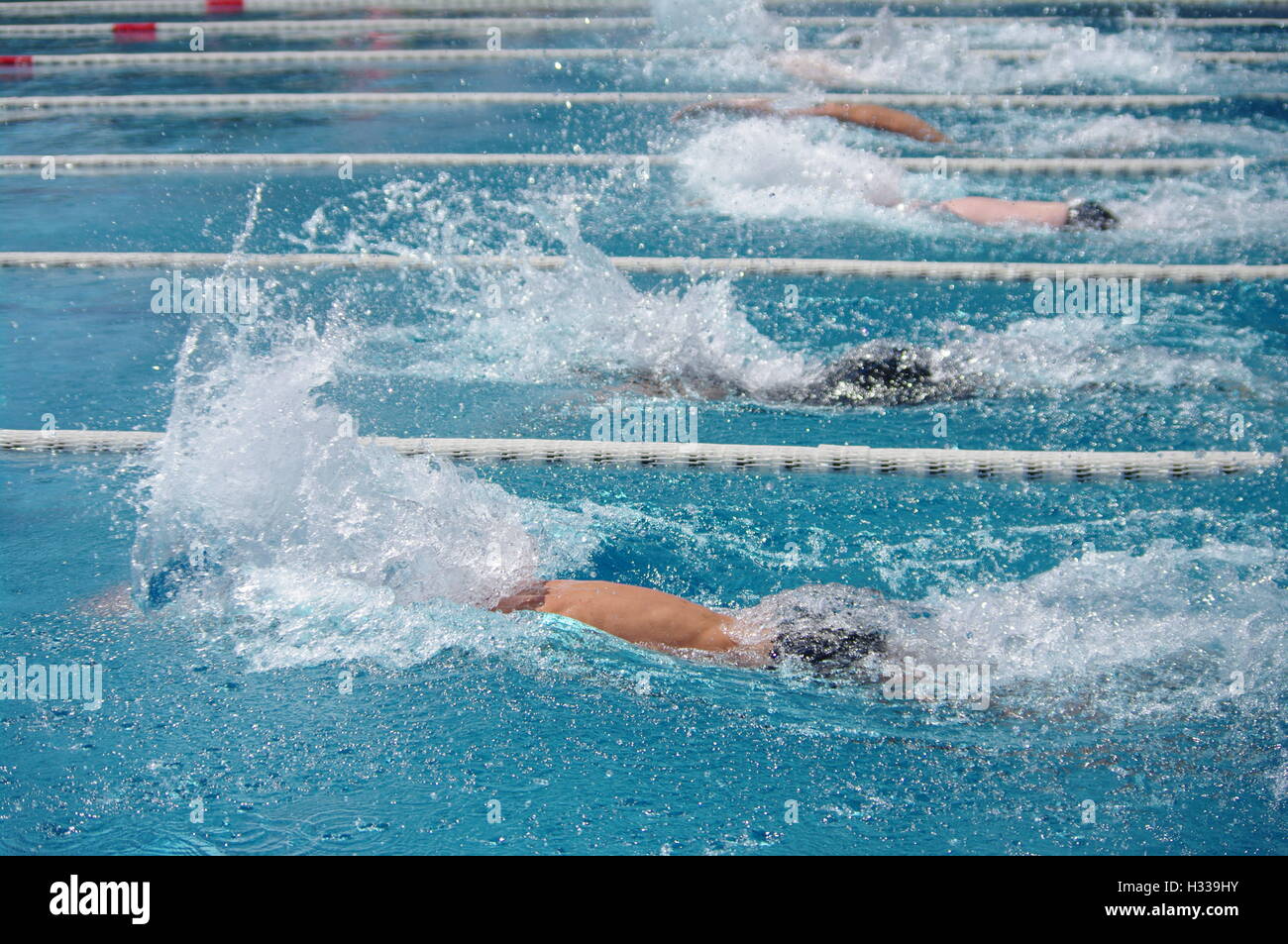 Swimmers during a competition Stock Photo - Alamy