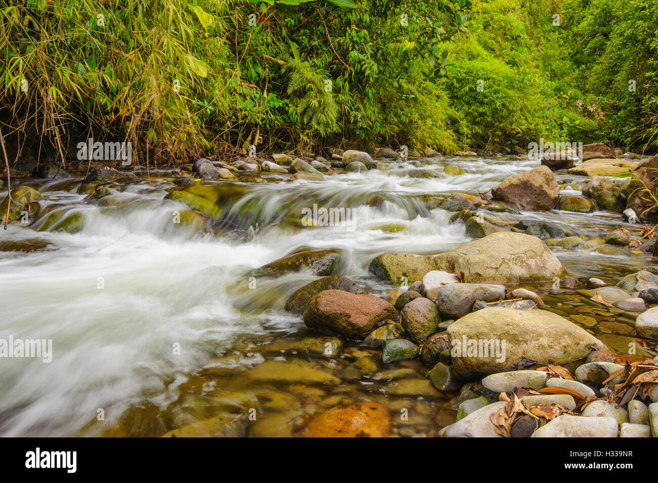 Rushing Mountain Stream Stock Photo - Alamy
