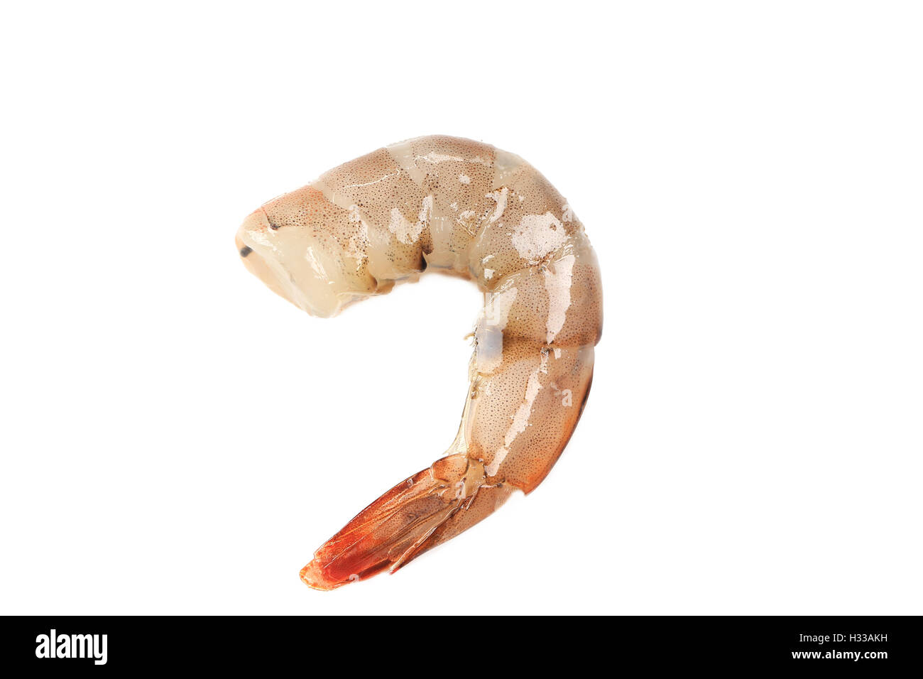 One raw shrimp Stock Photo - Alamy