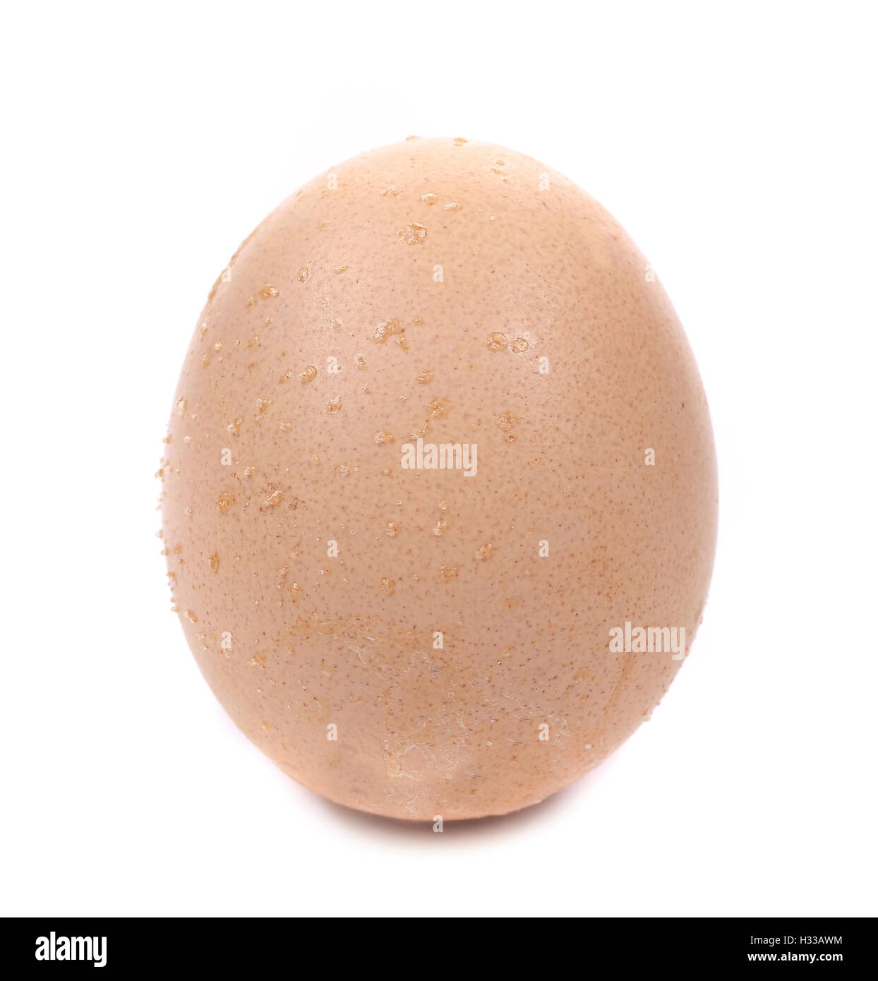 Close up of an egg Stock Photo - Alamy