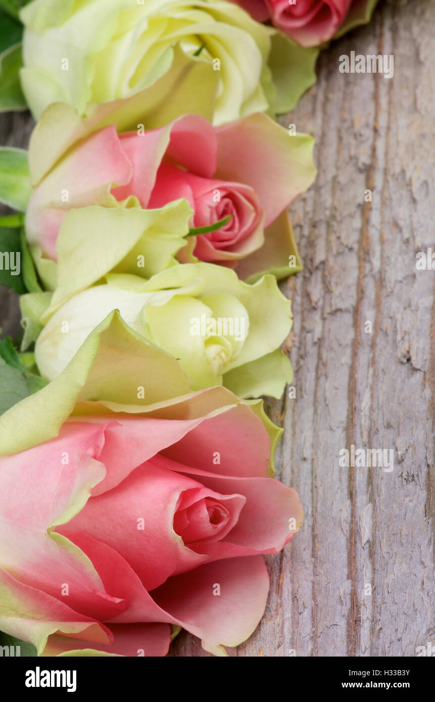 Frame of Roses Stock Photo - Alamy