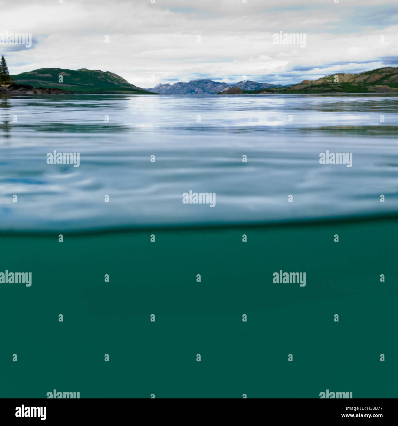 Lake Laberge Yukon Canada over-under split shot Stock Photo - Alamy
