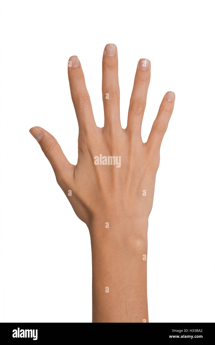 Isolated Empty open woman female hand in a position of number Five on a ...