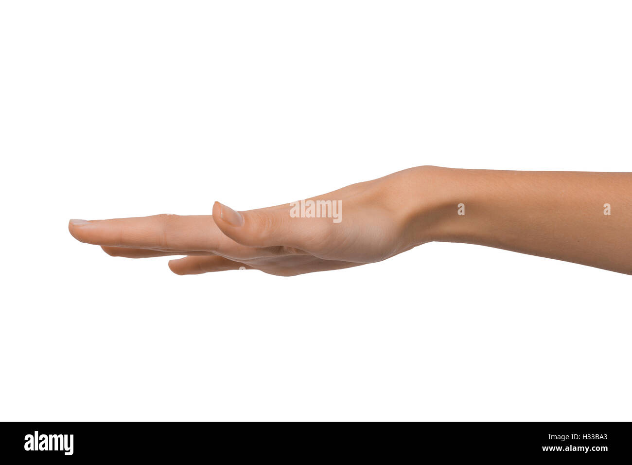 Isolated Empty open woman female hand in a position on a white ...