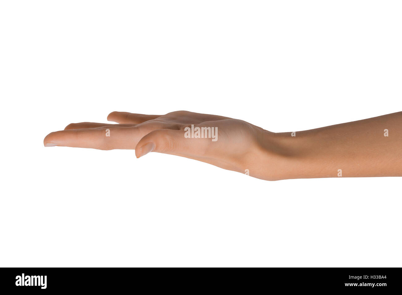 Isolated Empty open woman female hand in a position on a white ...