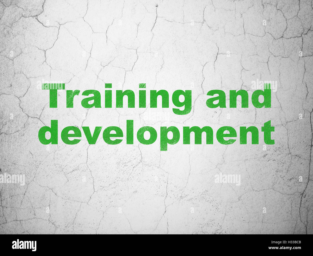 Education concept: Training and Development on wall background Stock ...