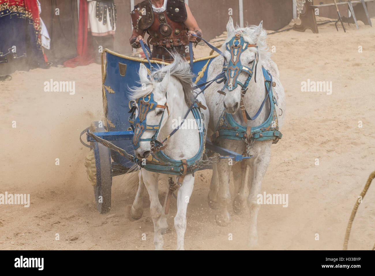 Combat, Roman chariot in a fight of gladiators, bloody circus Stock ...